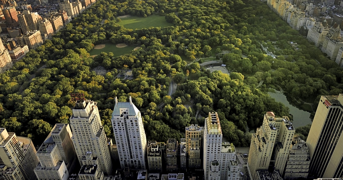 ONE11 Residences at Thompson Central Park | Resonance