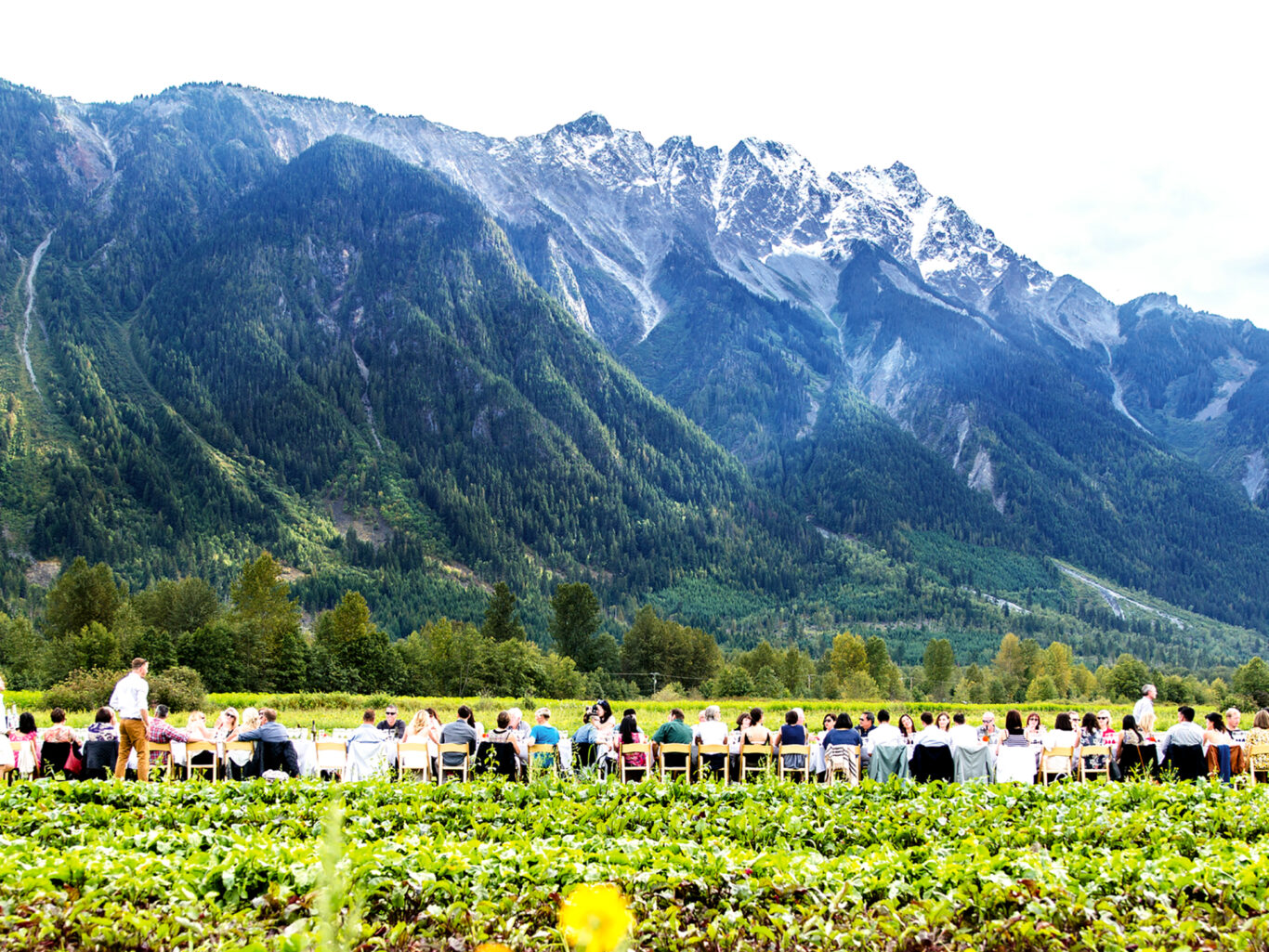 Regional place branding: How to turn fragmentation into a force | Resonance